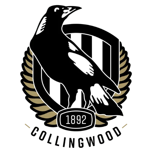 Footy Grid | Daily AFL Grid Game